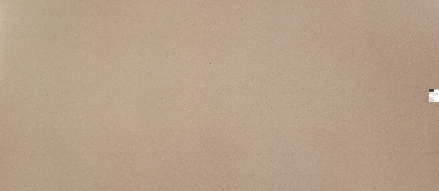 Quartzforms Fossil Ammonite | Paramount Stone Specialists