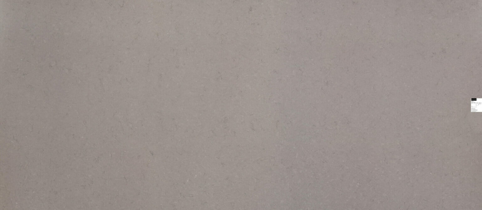 Quartzforms Fossil Nautilus | Paramount Stone Specialists